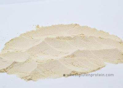 Cina Alimenti da forno Ingrediente vitale Grano Glutine Estrazione fisica in vendita