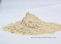 China Vegetable Protein Wheat Gluten Protein Additive For Cake / Bread for sale