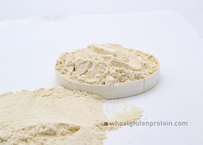China Health Food Ingredient Vital Wheat Gluten Powder 82%-85% Protein Content for sale