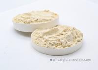 China Bread Needle Making 80% Wheat Gluten Meal for sale