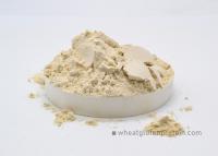 China Bakery Bread making 55% 75% Vital Wheat Gluten for sale