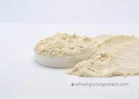 Quality Vital Wheat Gluten for sale