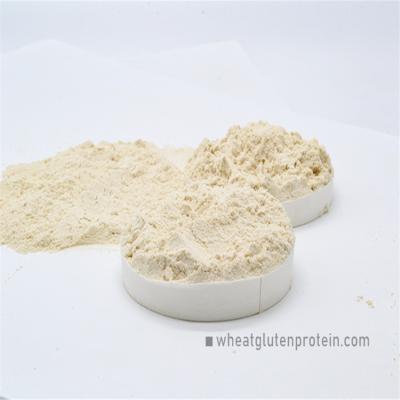China Verander de structuur, smaak en smaak van voedsel 75 KOSHER Vital Glutenpoeder Te koop