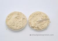 Quality Instant Noodles Spaghetti Nx5.7 Wheat Gluten Protein Powder for sale