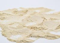 Quality Natural Organic 232-317-7 Wheat Gluten Flour For Bread for sale