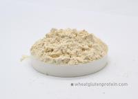 Quality Spaghetti Instant Noodles Organic Wheat Gluten Protein for sale
