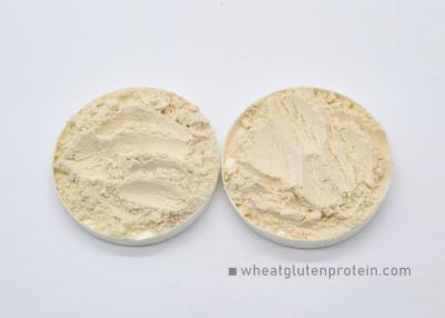 Κίνα Nx6.25 Γλουτένη σιταριού Πρωτεΐνη αλεύρι Ενισχυτής γλουτένης άμεσα νουντλς και σπαγγέτι προς πώληση