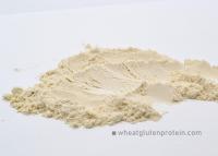 Quality Wheat Gluten Protein for sale