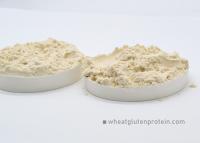 Quality Dried Wheat Gluten for sale