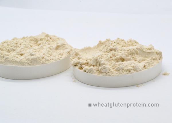 Quality No Smell Natural Nutrients Protein Powder Dried Wheat Gluten For Aquaculture for sale