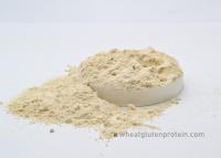 Quality Wheat Gluten Powder for sale