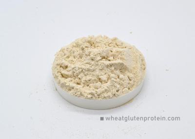 China Feed Additive Cas No 8002-80-0 Wheat Gluten Protein for sale