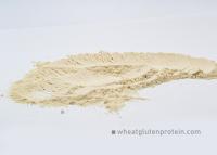 Quality Aquaculture Feed HACCP 75.0% Min Wheat Gluten Powder for sale