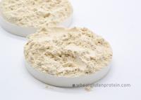 Quality HACCP HALAL Natural Wheat Gluten Powder Slightly Yellowish for sale