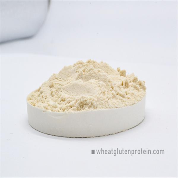 Quality Water Absorption Viscoelasticity Nx6.25 Dried Wheat Gluten for sale