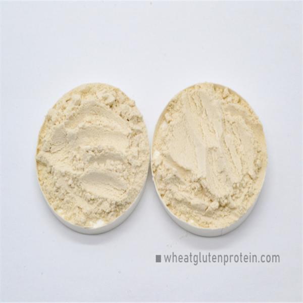 Quality Water Absorption Viscoelasticity Nx6.25 Dried Wheat Gluten for sale