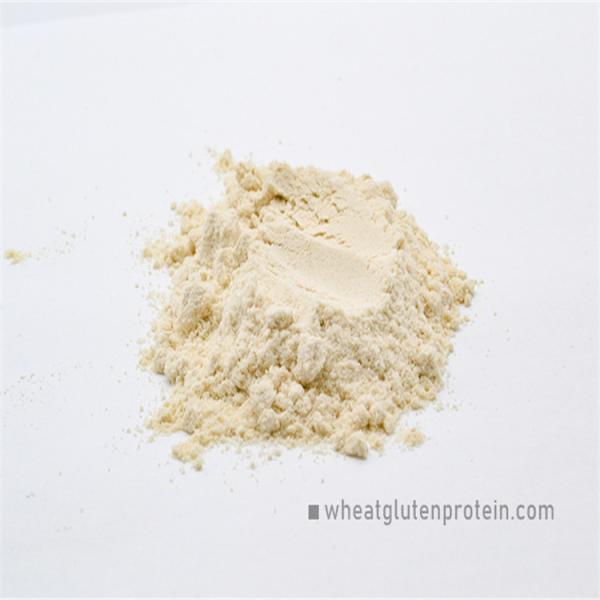 Quality Water Absorption Viscoelasticity Nx6.25 Dried Wheat Gluten for sale