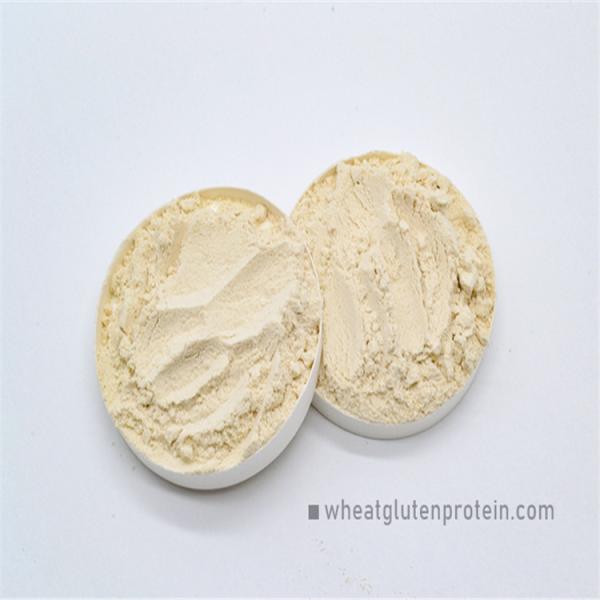 Quality Increase Noodles Toughness 1% 2% Dried Wheat Gluten for sale