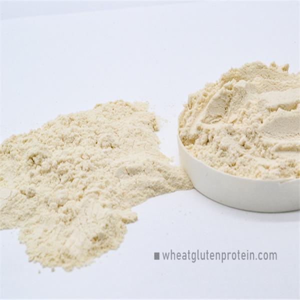 Quality Noodles Bread Ham 75% Wheat Gluten Protein for sale