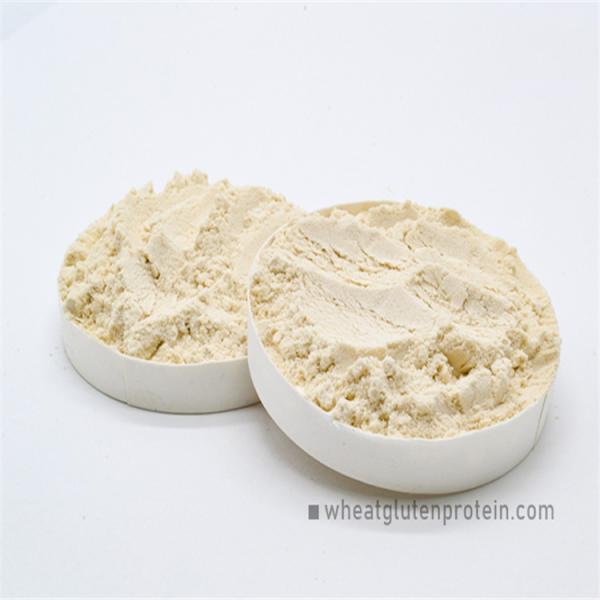Quality Slightly Yellowish 8002-80-0 Dried Wheat Gluten Powder for sale