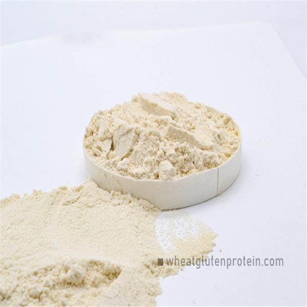 Quality Slightly Yellowish 8002-80-0 Dried Wheat Gluten Powder for sale