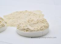 China Healthy Natural Wheat Gluten Powder As Baking Powder Gluten Natural Strong Agent for sale