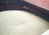 Quality Eel / Shrimp / Salmon Feedstuff Nutrition Wheat Gluten Feed Pellets for sale