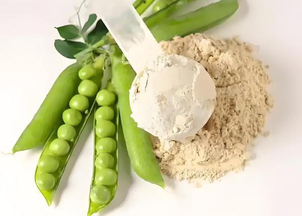 Quality Non-Allergenic Pea Protein Safe And Healthy For Individuals With Dairy Or Soy Allergies for sale