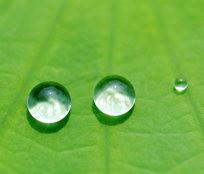 중국 ACP를 코팅하는 로에스 PVDF 판매용