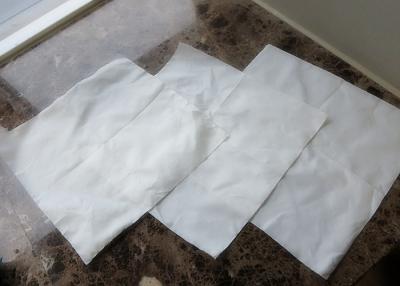 China Customized Woven Polyester Industrial Filter Bag for Juice Press Filtration for sale