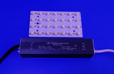 Cina CC dell'alimentazione elettrica della corrente costante di ROHS LED 24V, driver leggero principale in vendita