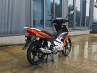 China YH110T-3 CUB 110cc Dual-Clutch Honda Suzuki Yamaha Bajaj TVS for sale