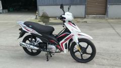 YH110T-3 110cc Cub Motorcycle Fuel Efficient Engine Daily Commuting Bulk Supply