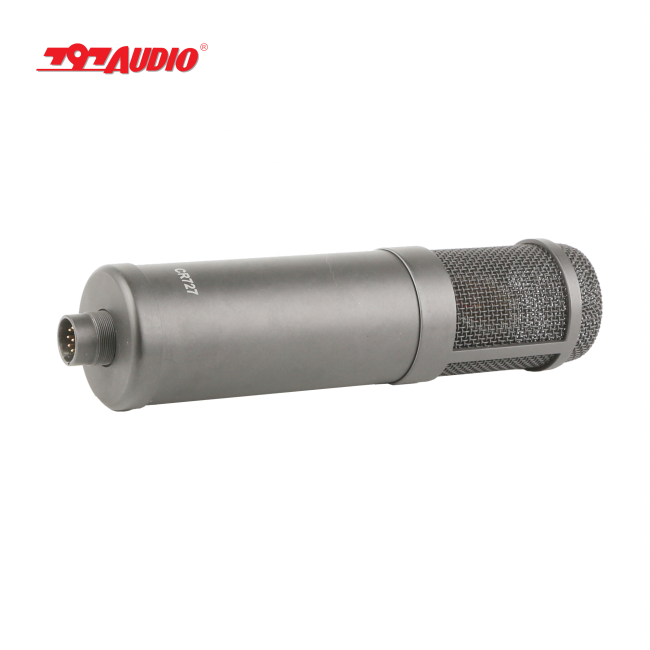 797AUDIO ATCR02 Large Diaphragm Tube Condenser Microphone Well-toned Sound Karaoke Microphone Professionnel Customized 34mm