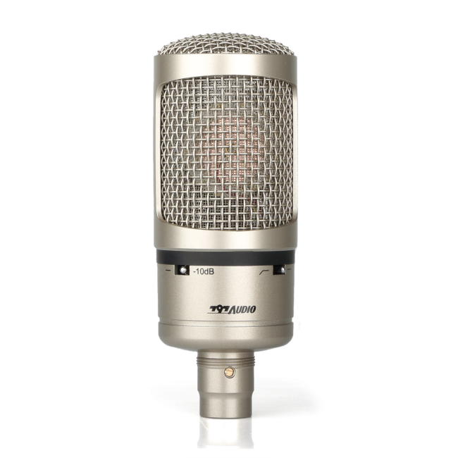 797Audio ACR02 Professional Recording Condenser Microphone for Professional Gaming,singing,audio and Living Program Speaker