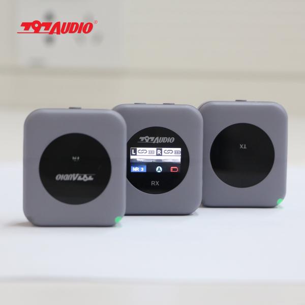 Quality 20 Hz 20khz Frequency Range Dual Channel Wireless Handheld Microphone for for sale