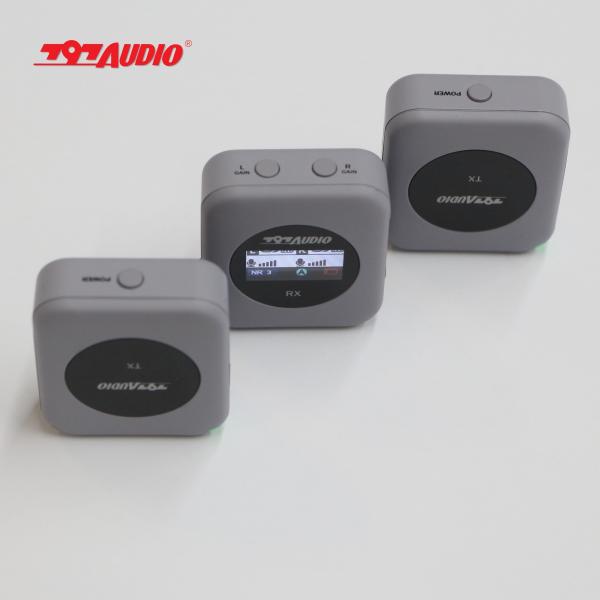 Quality 20 Hz 20khz Frequency Range Dual Channel Wireless Handheld Microphone for for sale