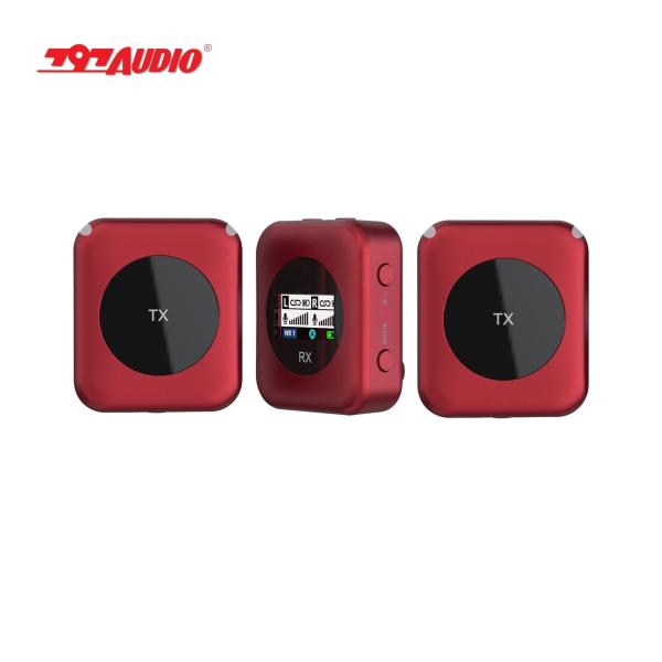 Quality 797AUDIO 2.4G Dual Lavalier Wireless Collar Clip Microphone Wireless Microphone for sale