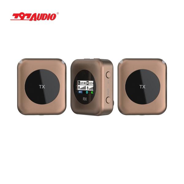 Quality 797Audio AWCR01 2.4G Hz Professional Wireless Microphone with Speaker Handheld for sale