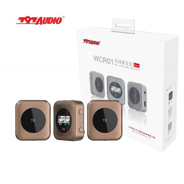 Quality 797Audio AWCR01 2.4G Hz Professional Wireless Microphone with Speaker Handheld for sale