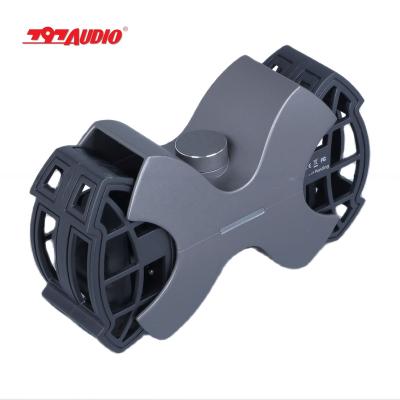 China 797AUDIO Auras USB Digital Microphone High Sampling Rate with 2pcs Capacitor Pickup Heads Wireless Microphone Singing Microphone for sale