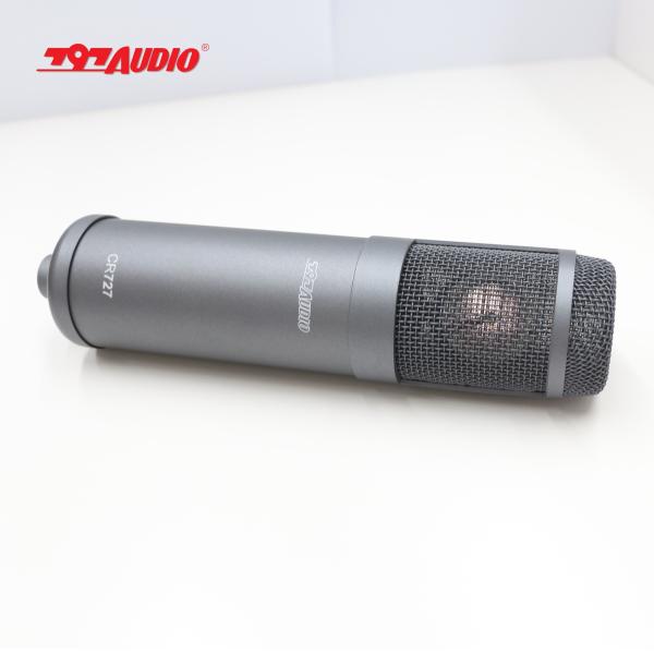 Quality 797AUDIO ATCR02 Large Diaphragm Tube Condenser Microphone Well-toned Sound for sale