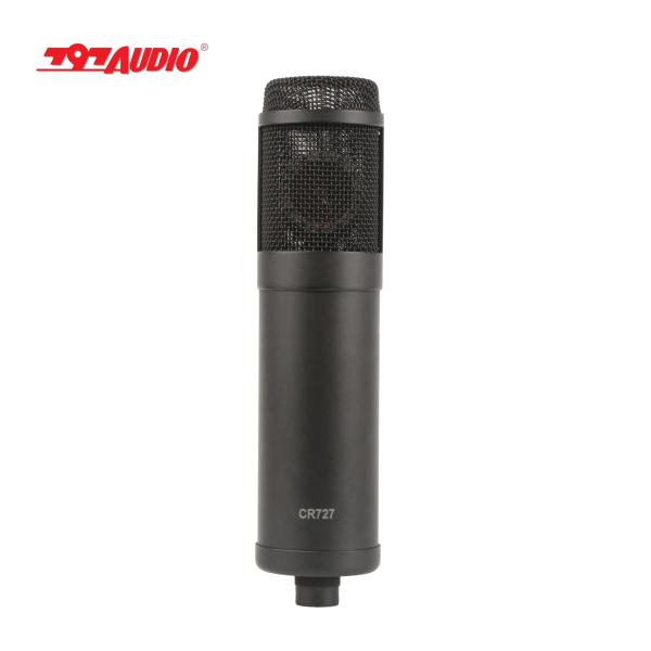 Quality 797AUDIO ATCR02 Large Diaphragm Tube Condenser Microphone Well-toned Sound for sale