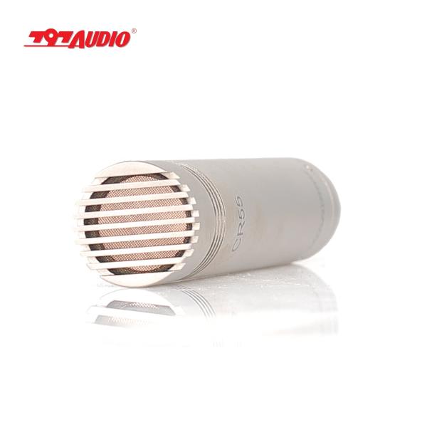 Quality 797Audio CR55 Small Diaphragm Condenser Microphone for Professional Recording for sale
