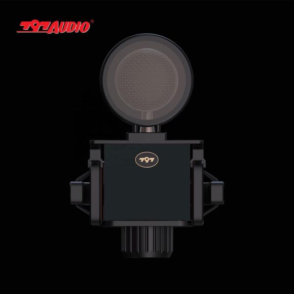 Quality 797Audio CR632 Old-Fashioned 3-Pin XLR Condenser Recodring Microphone for Studio for sale