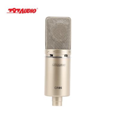 China Metal Studio Recording Microphone with Cardioid Polar Pattern and Customizable Design for sale