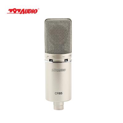 China Metal Studio Recording Microphone with Cardioid Polar Pattern and Customizable Design for sale