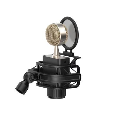 China Professional 3-Pin XLR BM 800 Microphone for Customized Recording in Studio Setting for sale