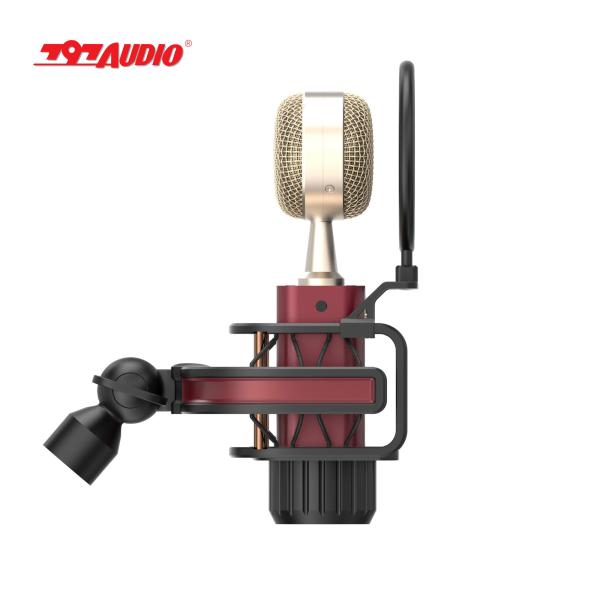 Quality 797Audio D501 Professional Usb Condenser Microphone Studio Recording For Youtube for sale