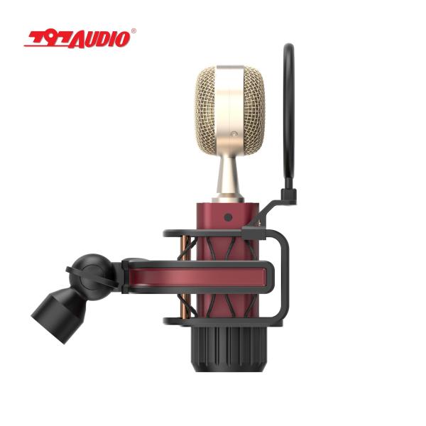 Quality 797Audio D501 Professional Usb Condenser Microphone Studio Recording For Youtube for sale